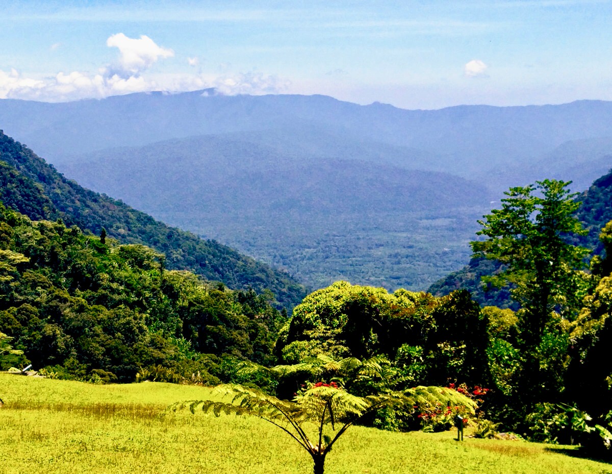 Indigenous Kokoda Adventures – Begin your journey with us